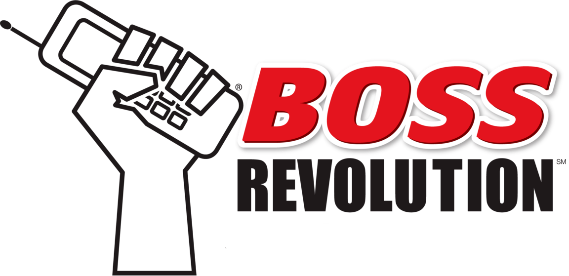BOSS Revolution - INSART